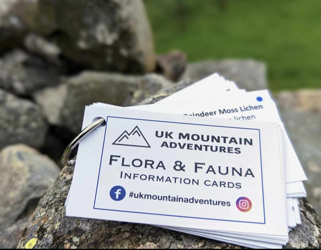 Identification cards - 25% off 2nd set ! – UK Mountain Adventures