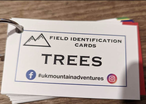 Tree Identification Cards – UK Mountain Adventures